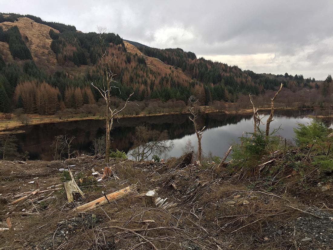 Run by the side of 5 lochs from Kinlochard in the Trossachs